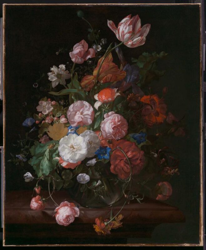 Rachel Ruysch: Artist, Naturalist, and Pioneer, Museum of Fine Arts ...